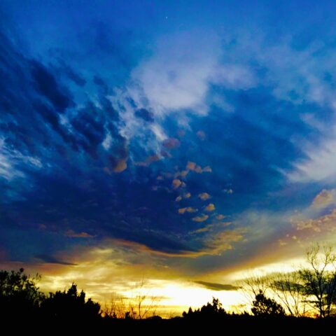 Freedom - Jennifer Bloom